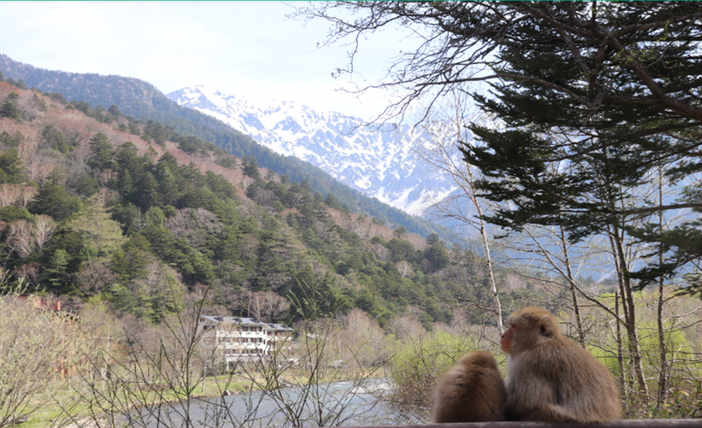 Images of Spring in Full Swing – Japan Alps Kamikochi Official Website