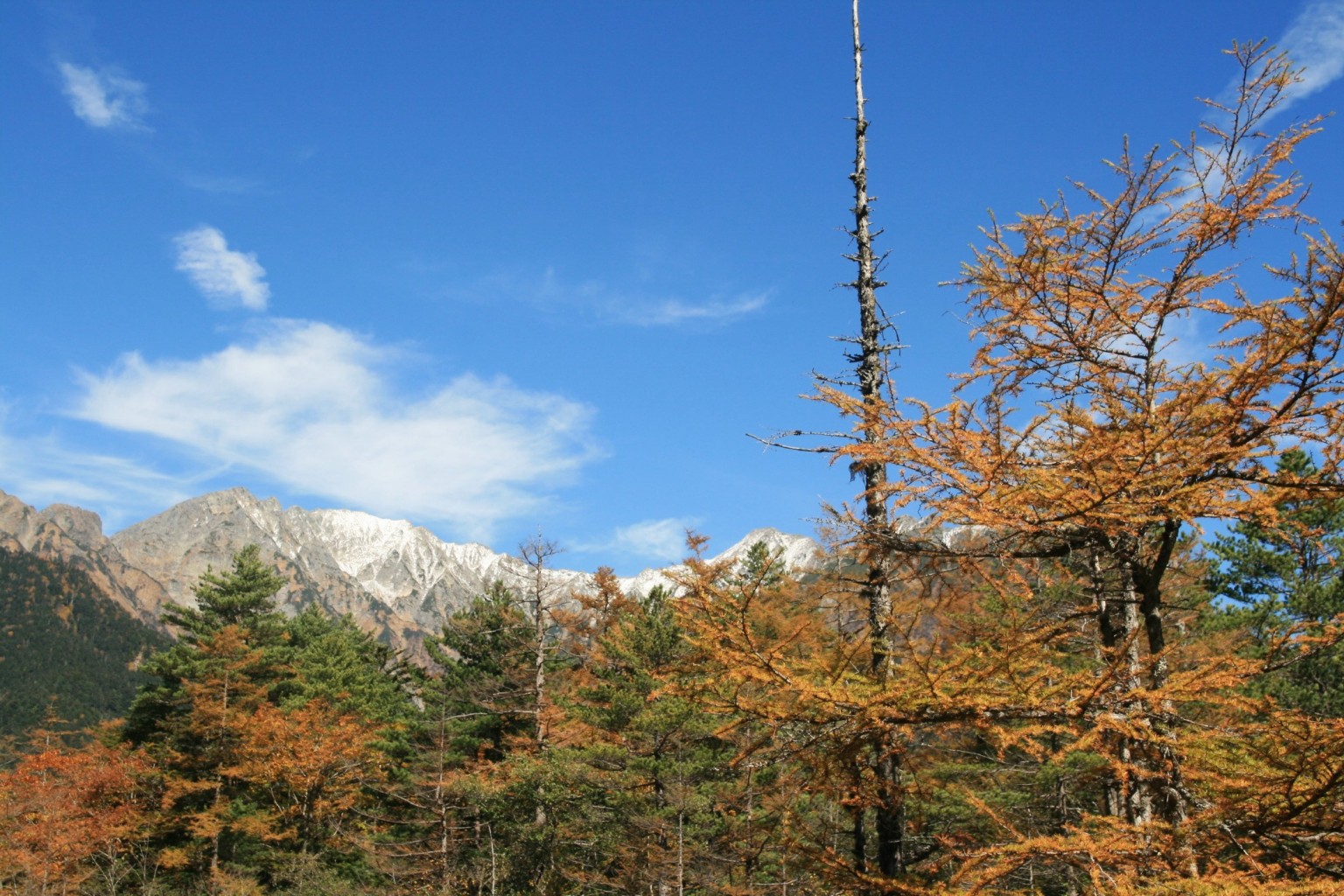 Kappa Bridge Hits Autumn Peak, Brighter Days Ahead – Japan Alps ...