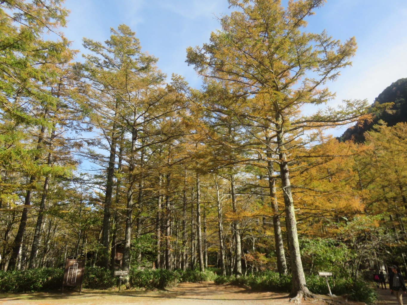 Kappa Bridge Hits Autumn Peak, Brighter Days Ahead – Japan Alps ...